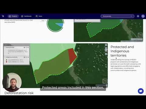 New Custom Dashboards | Orbify