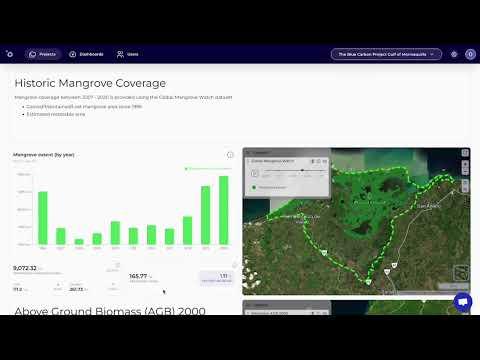 Custom Dashboards Series 2 - Blue Carbon Project Template | Orbify