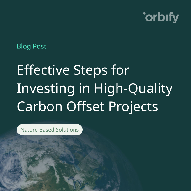Effective Strategies for Investing in High-Quality Carbon Offset ...