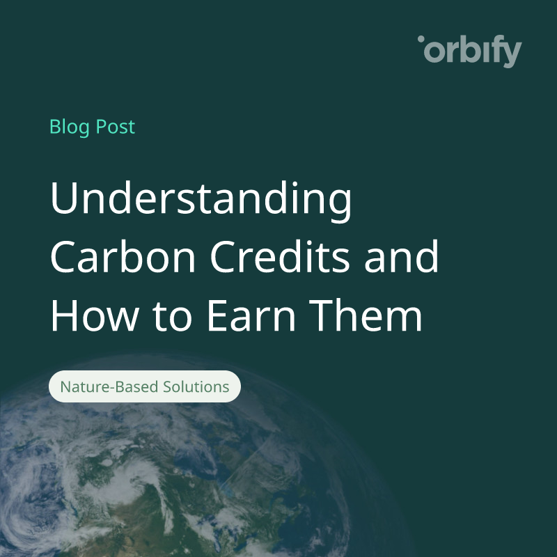 Understanding Carbon Credits: How to Earn Them and Their Importance ...