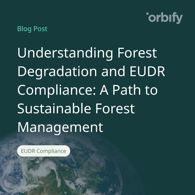 What is Forest Degradation? Definition, Causes, and EUDR Compliance | Orbify