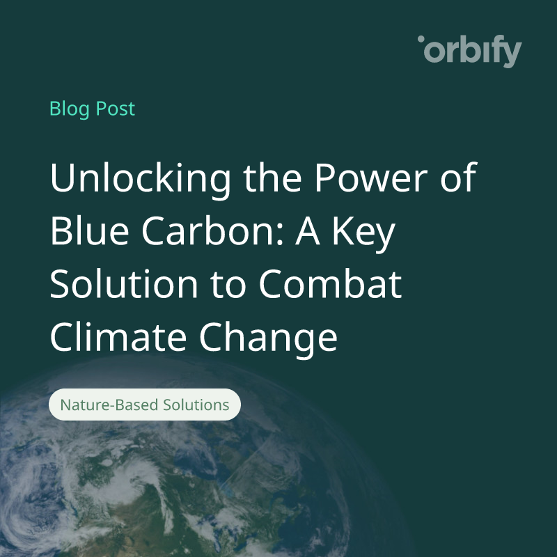 Unlocking Blue Carbon: Combatting Climate Change | Orbify