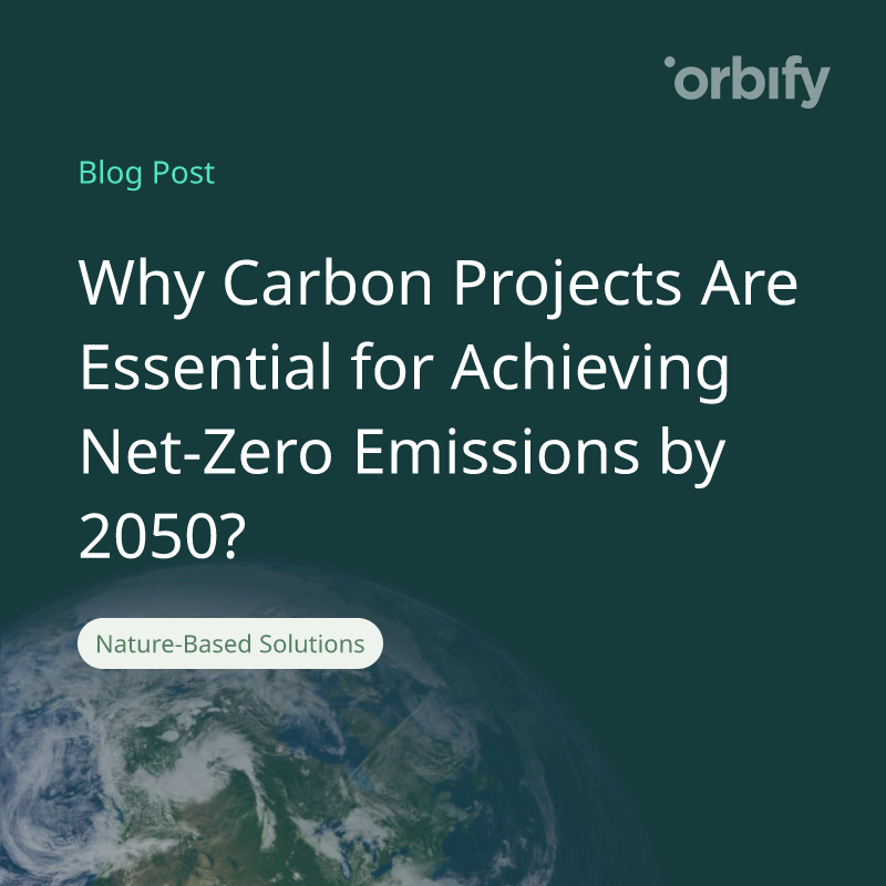 Carbon Offset Projects and Net-Zero: Achieving a Sustainable Future | Orbify